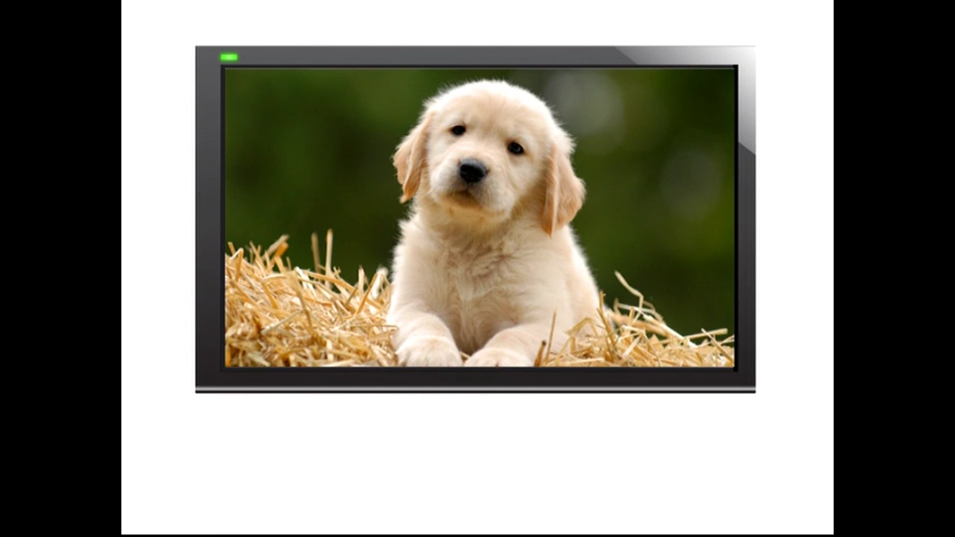 What is the original source of that photo? | Fandom