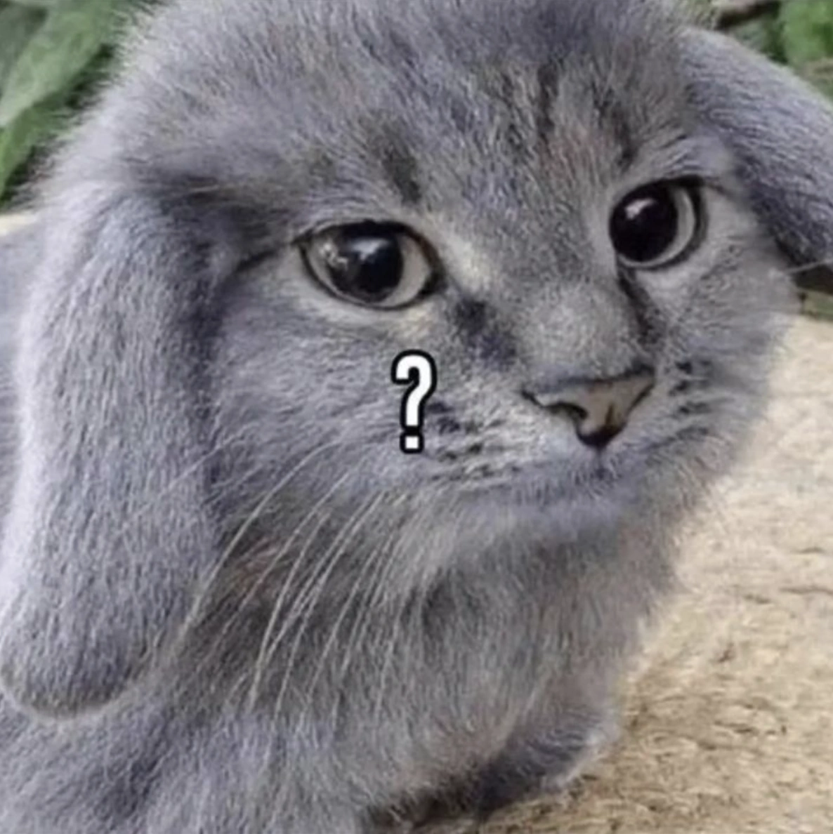 how to ban appeal for tc2 discord (pls help i am stewpid) | Fandom