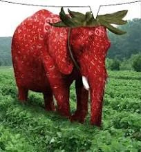 omg rare tuskski??? | Fandom