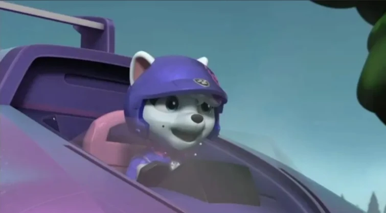 Paw Patrol Rescue Wheels images | Fandom