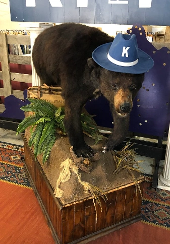 Meet Pablo Eskobear | Fandom