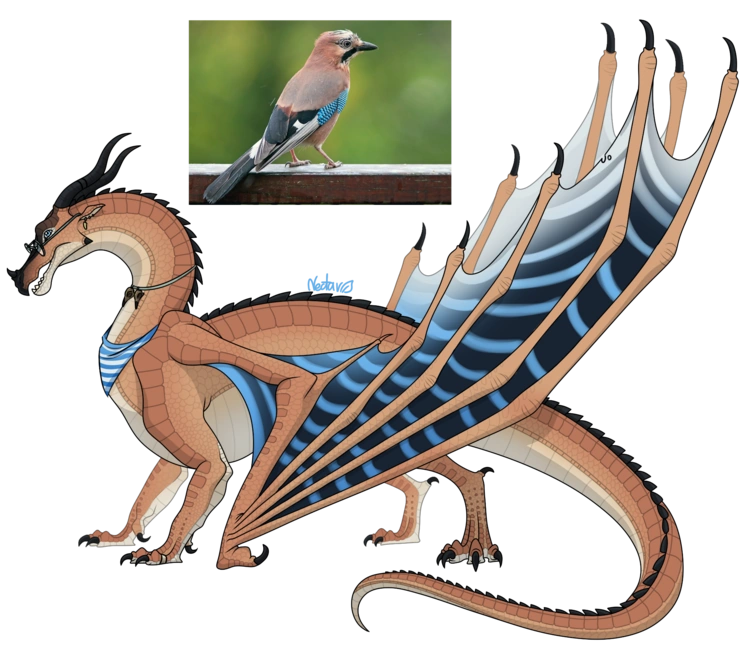 Ask Aviary and Cockatoo! | Fandom