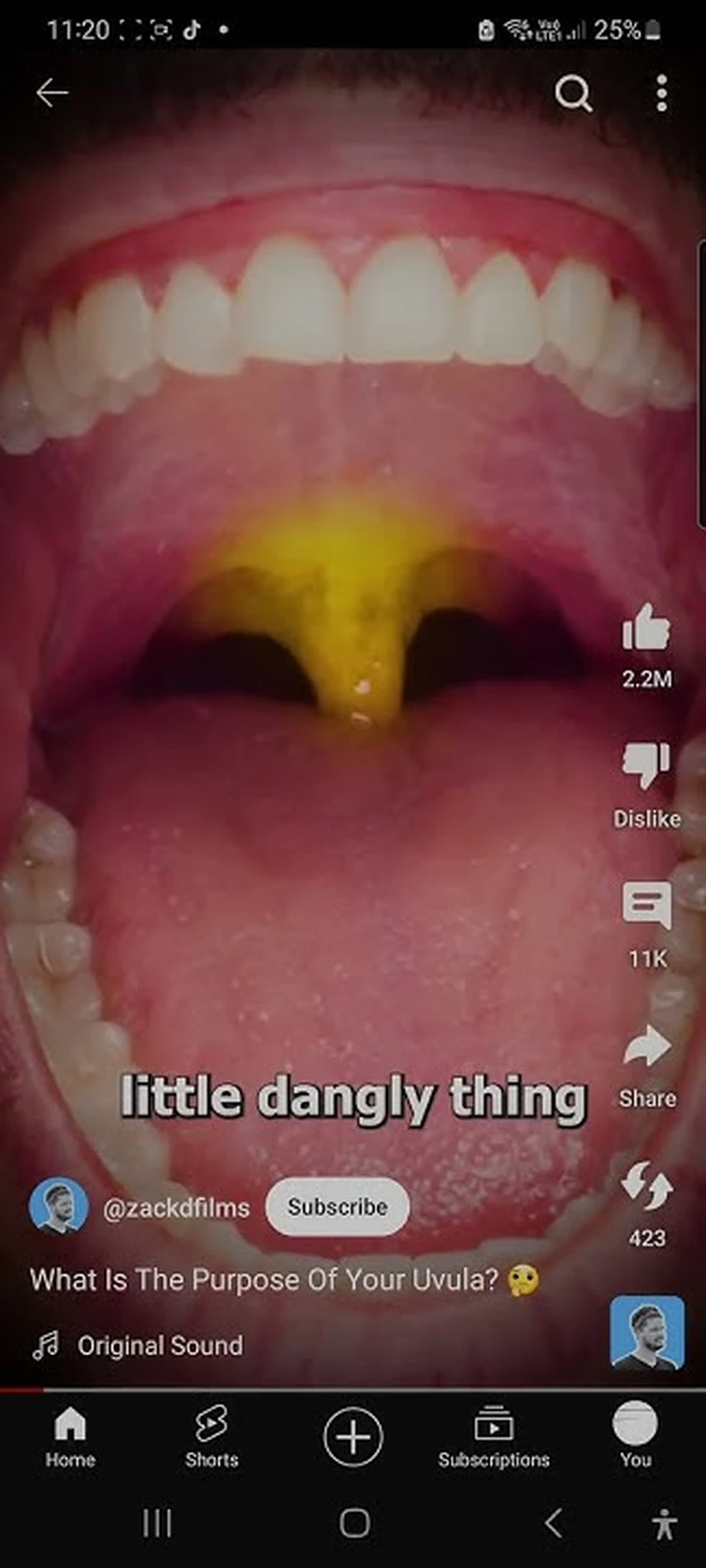 top 10 funniest Zack D Films Memes. | Fandom