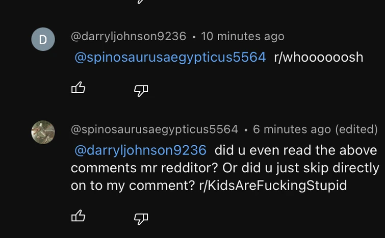 Istg ppl dont even know the meaning of r/woosh | Fandom