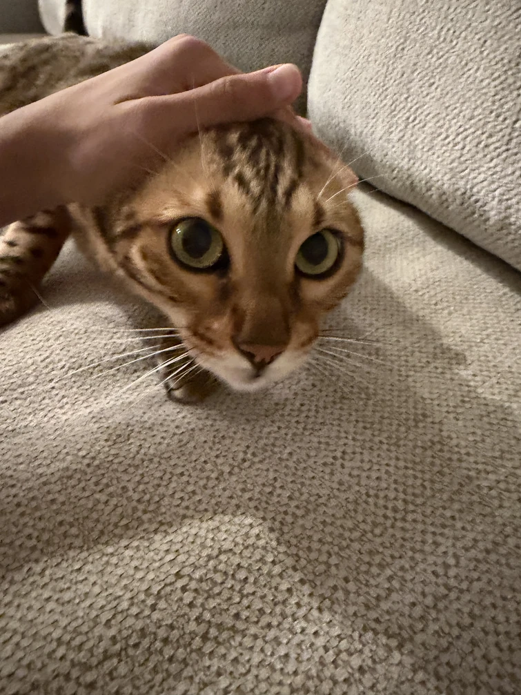 mmm bones.... | Fandom