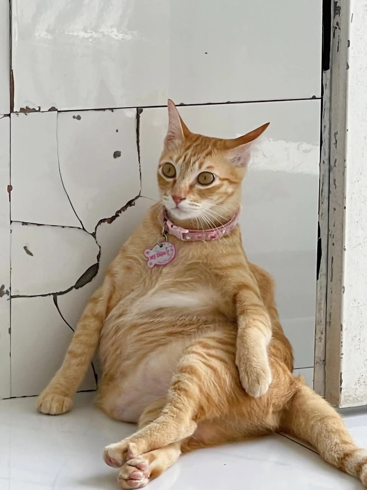 Cursed Na-go. | Fandom