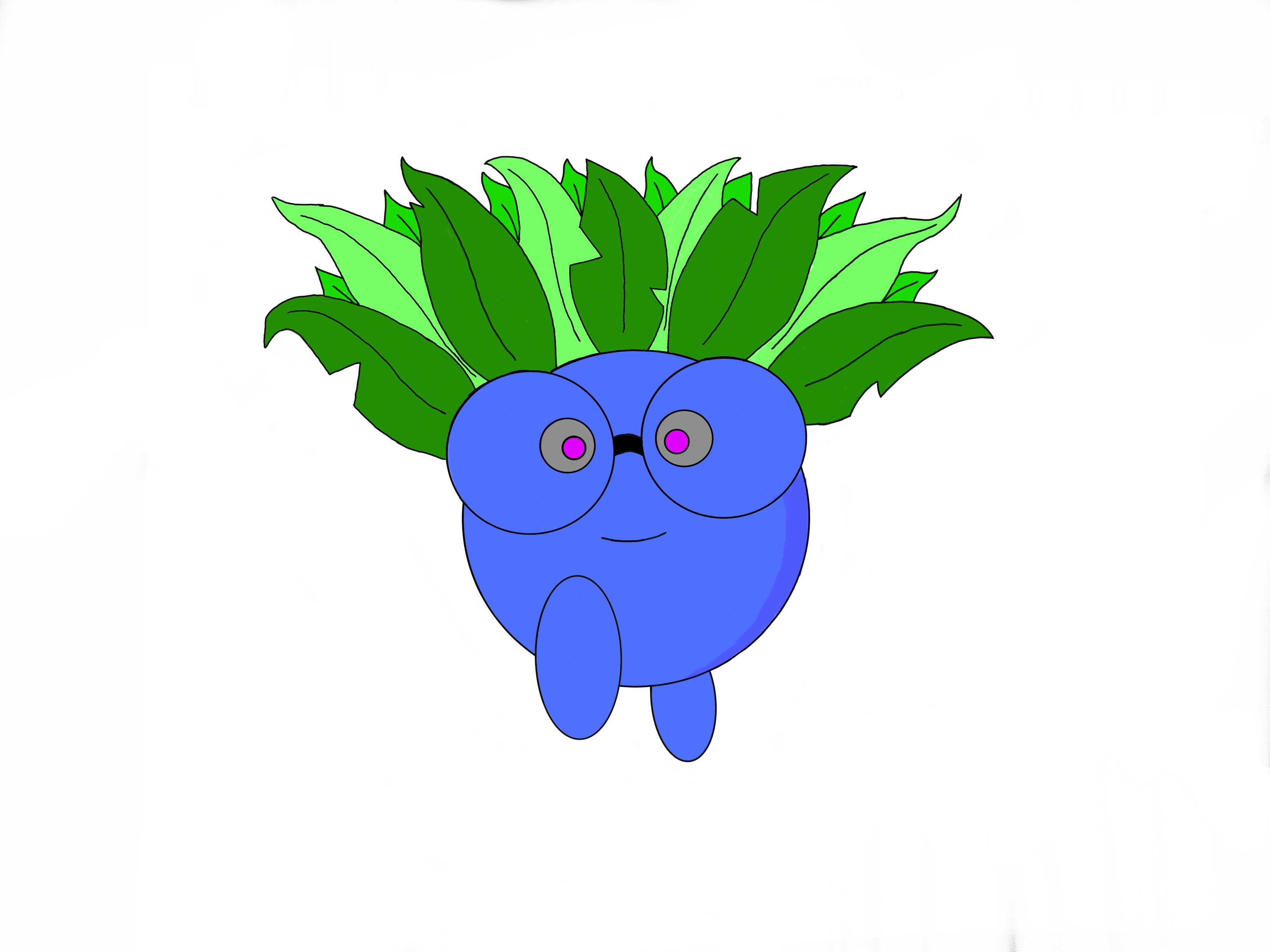 Blueberry has gained color | Fandom