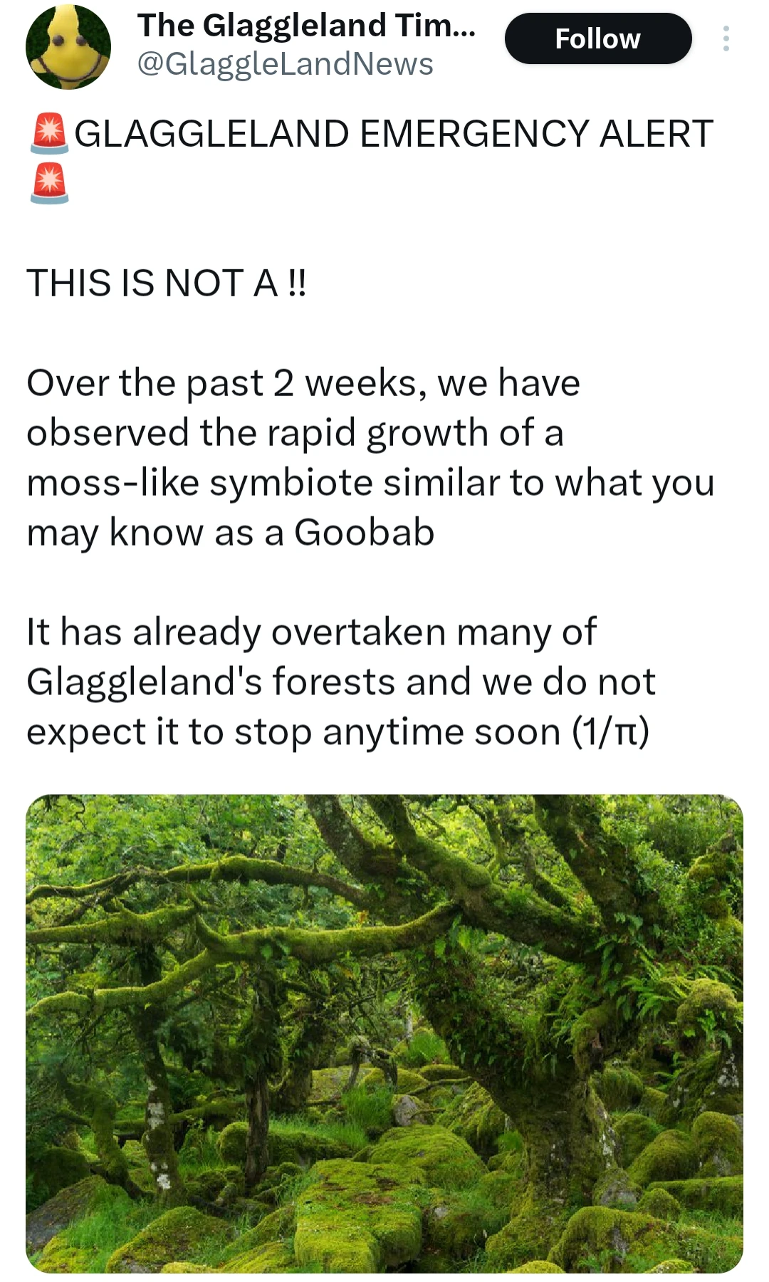 EVEN MORE NEWS FROM THE GLAGGLELAND TIMES! | Fandom