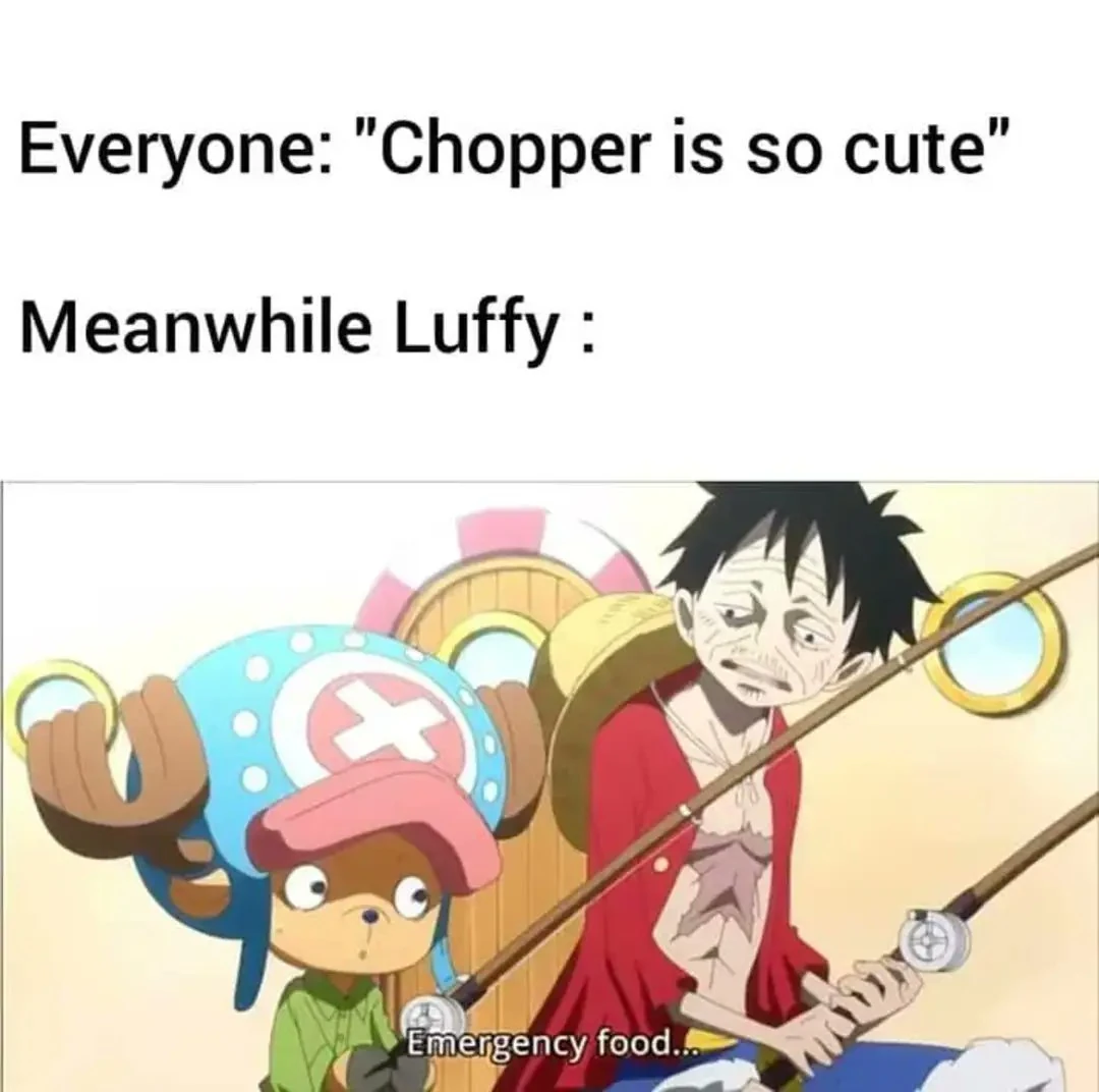 One piece memes pt 11 | Fandom