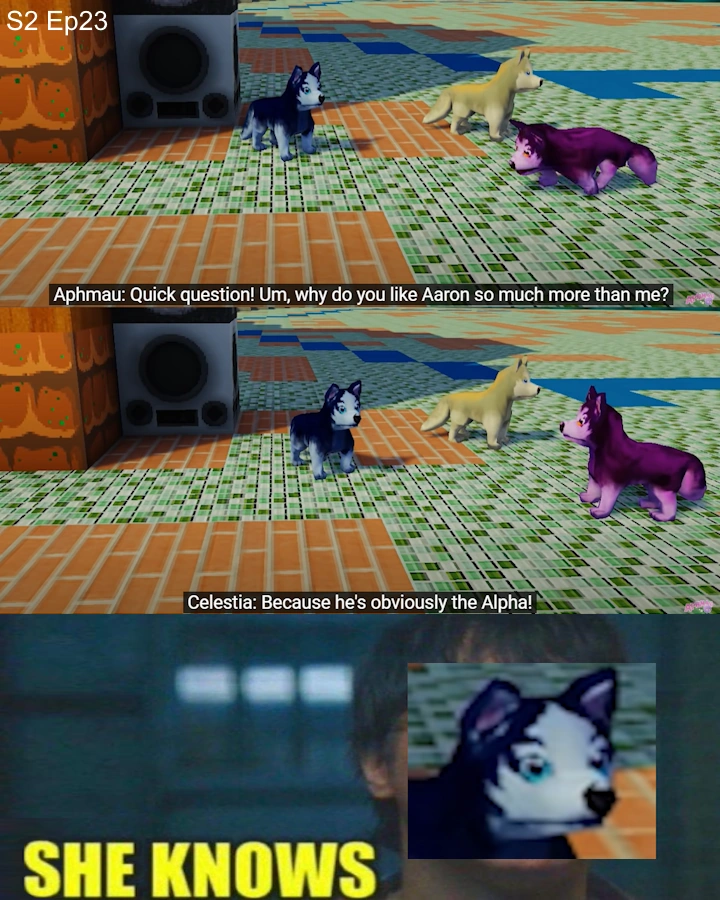 Daly meme 32 | Fandom