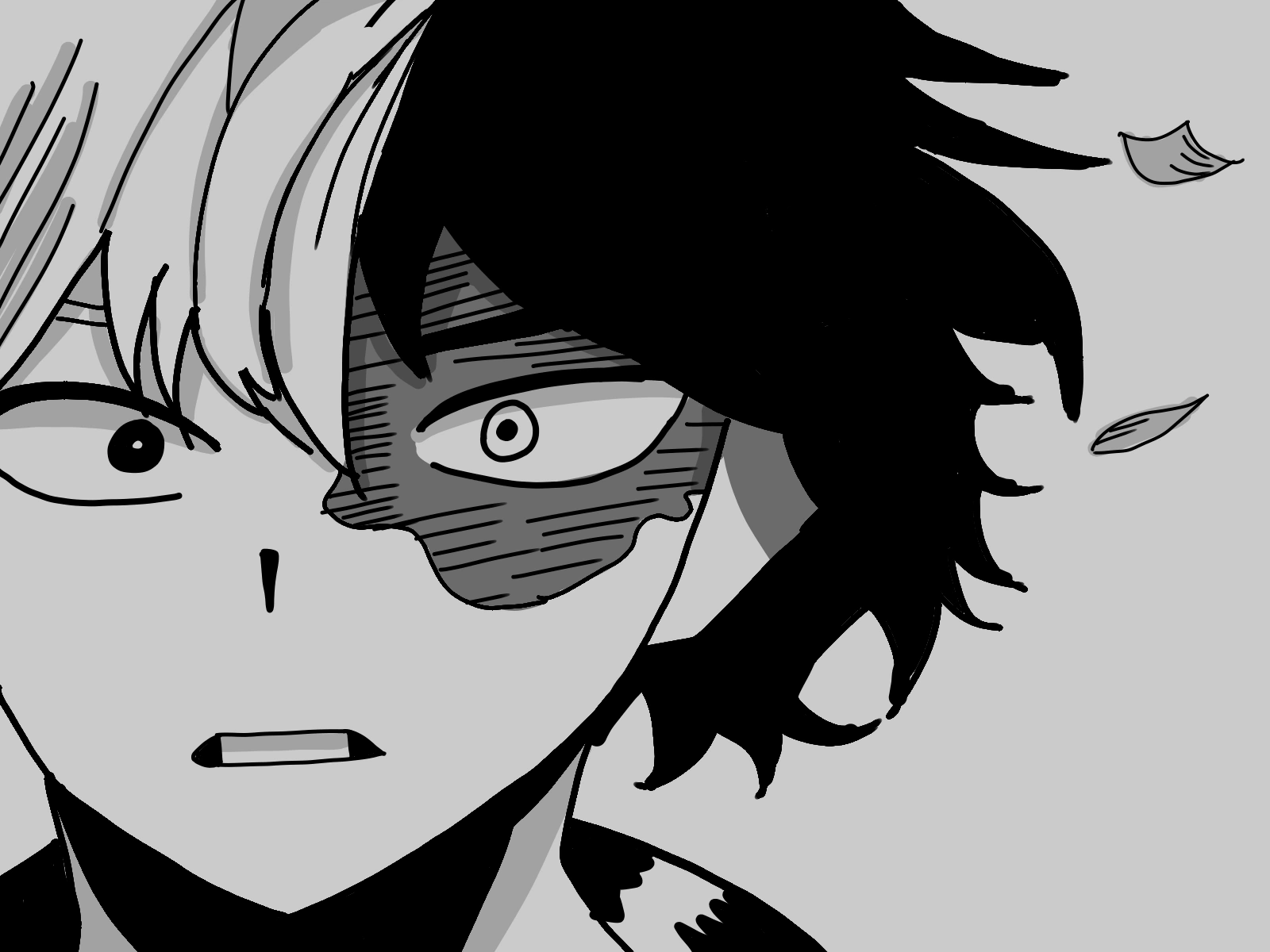 Shoto Todoroki | Fandom