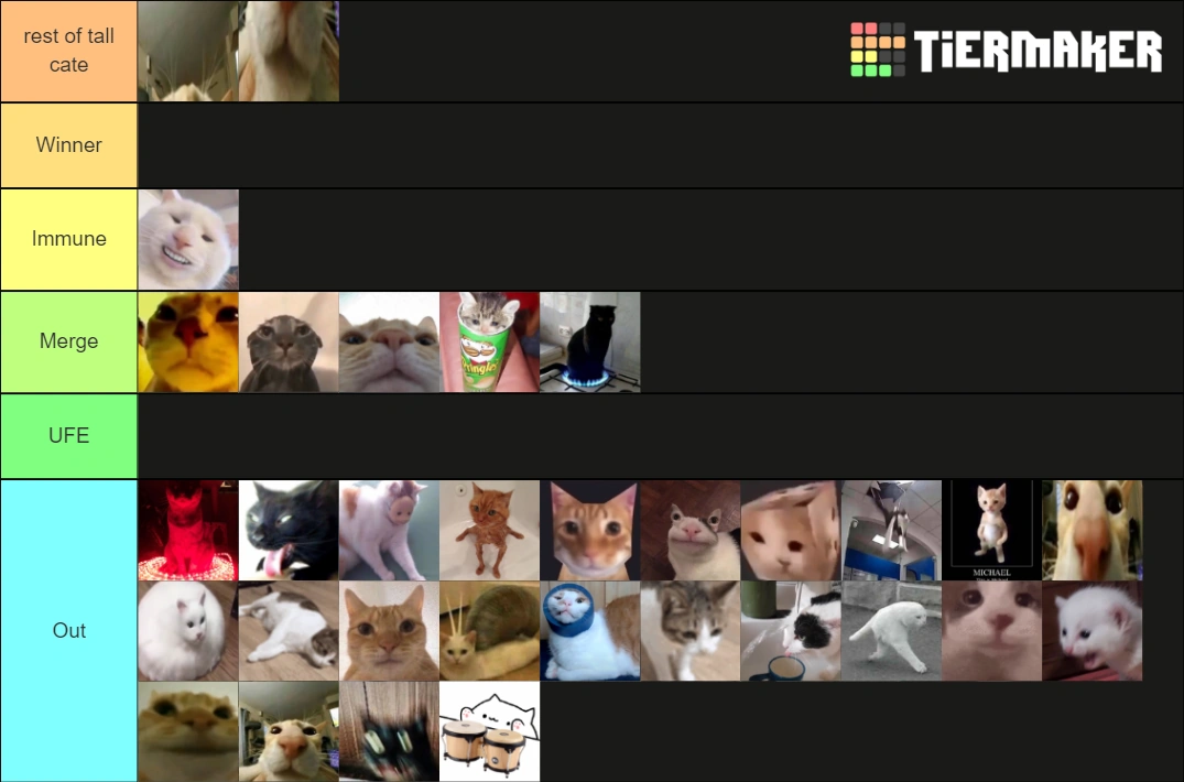 Cat Voting 27! | Fandom