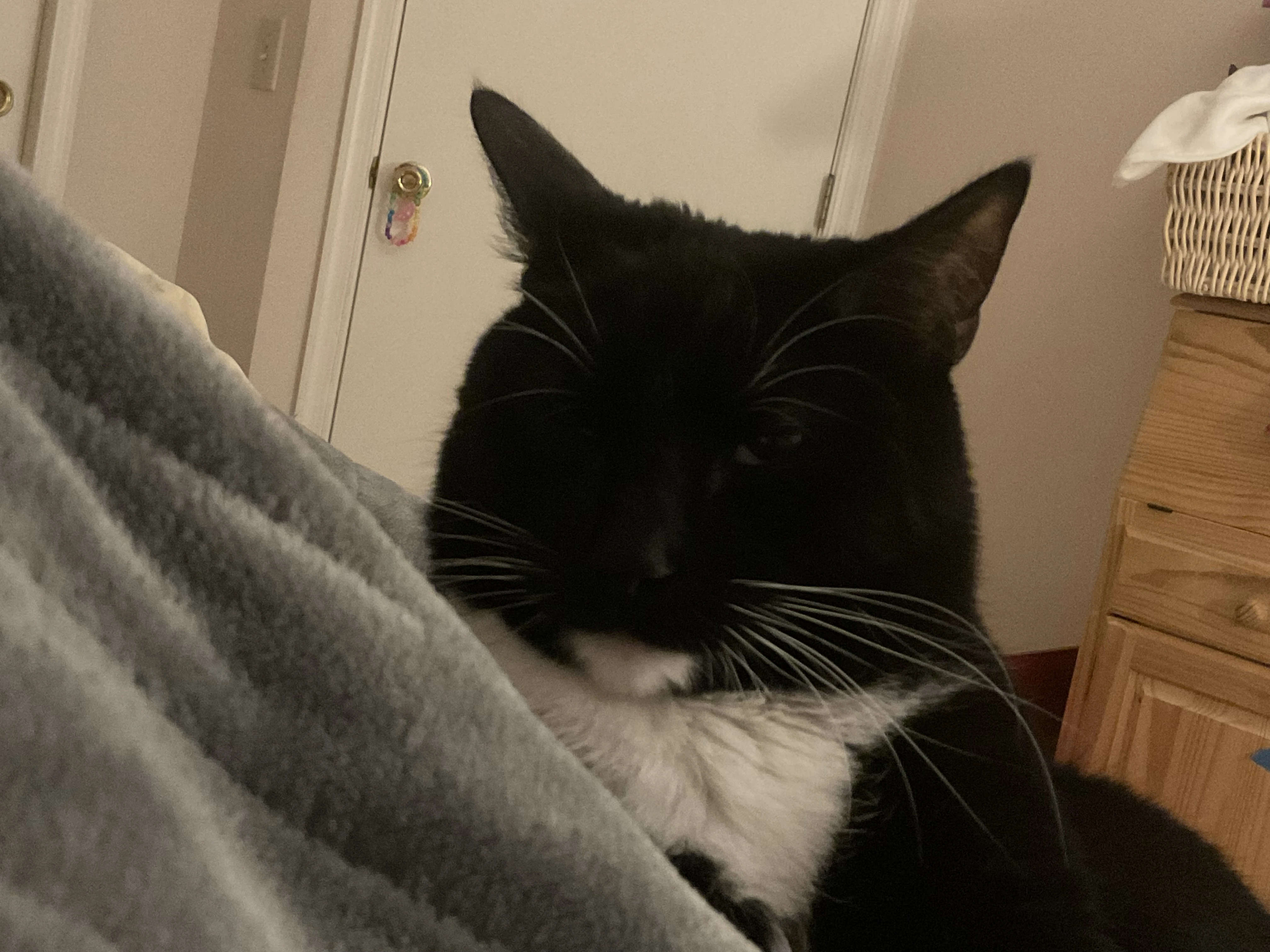 Daily Shadow - Day 63 | Fandom