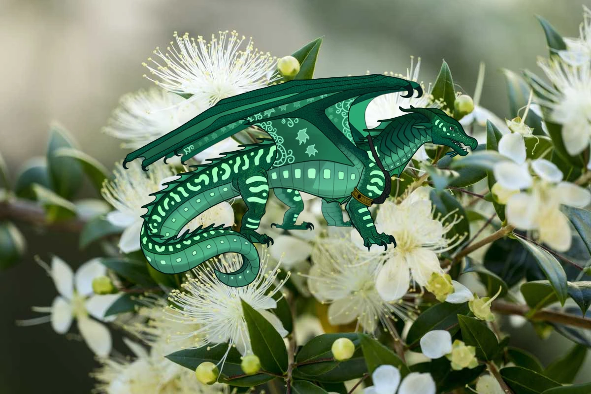 good night wiki | Fandom