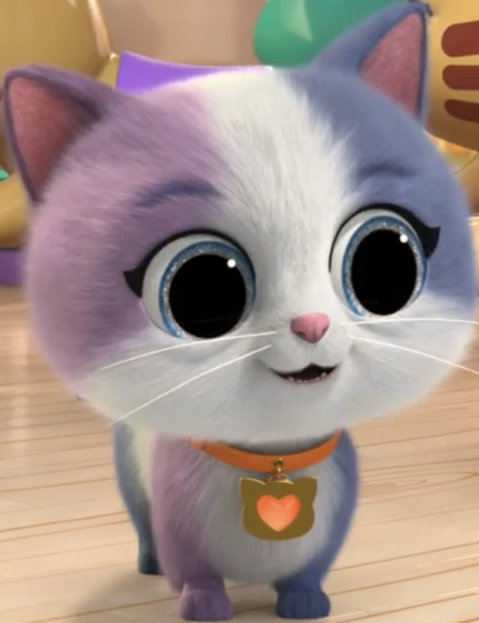 British Shorthair "Cat-Dog" Buddy | Fandom