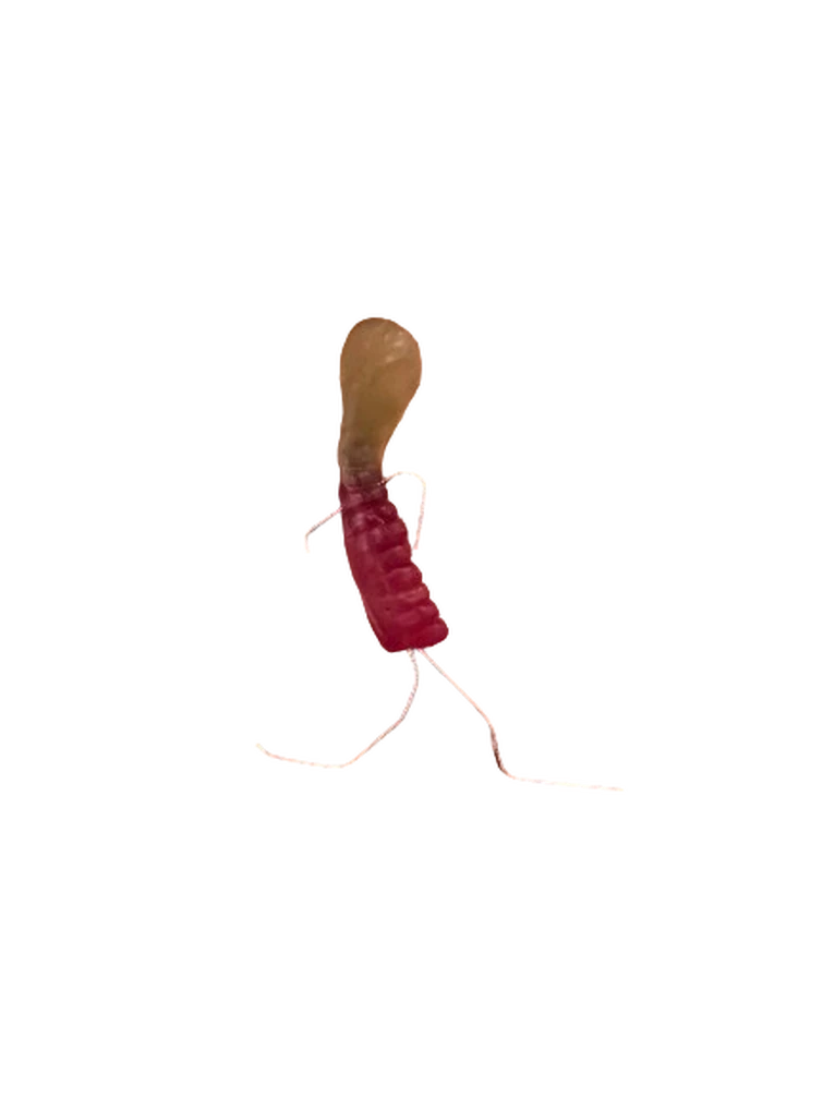 Discuss Everything About SCP Foundation Wikia | Fandom