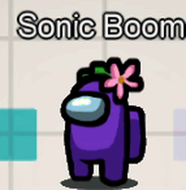 my Among Us avatar,based off of Sonic Boom | Fandom