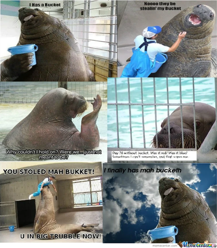 Lolrus MUs? | Fandom