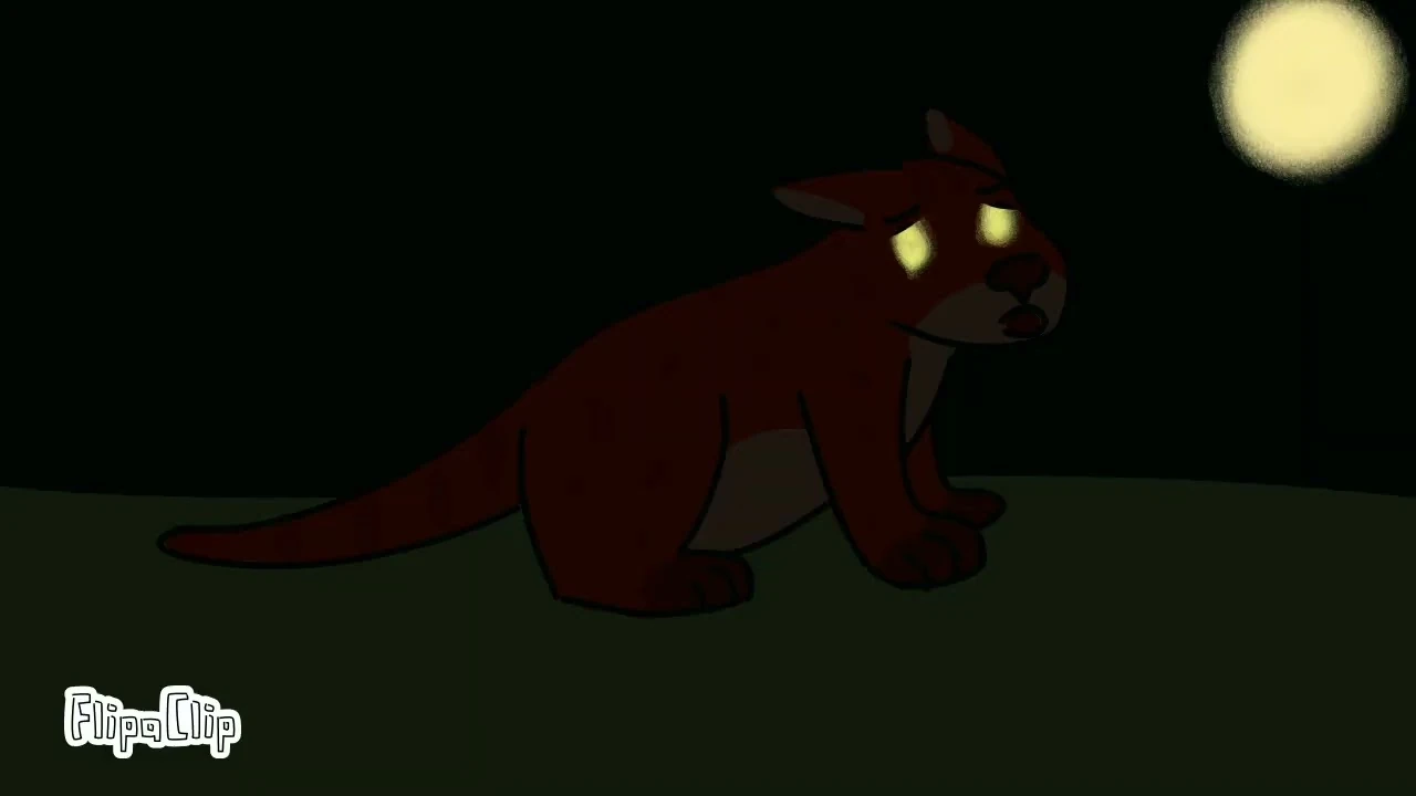 can't believe im nearly done with this animation 💀 | Fandom