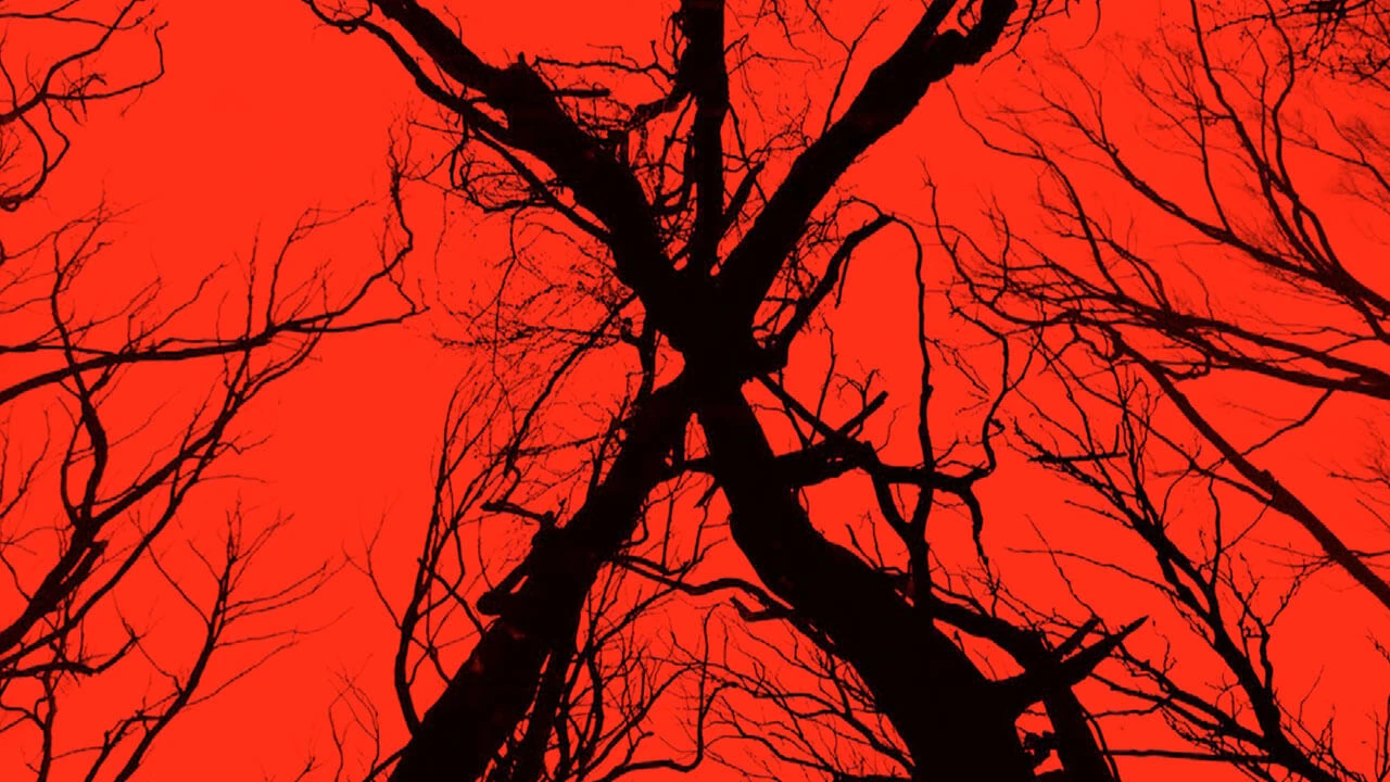 Good Movies, Bad Formats | Fandom