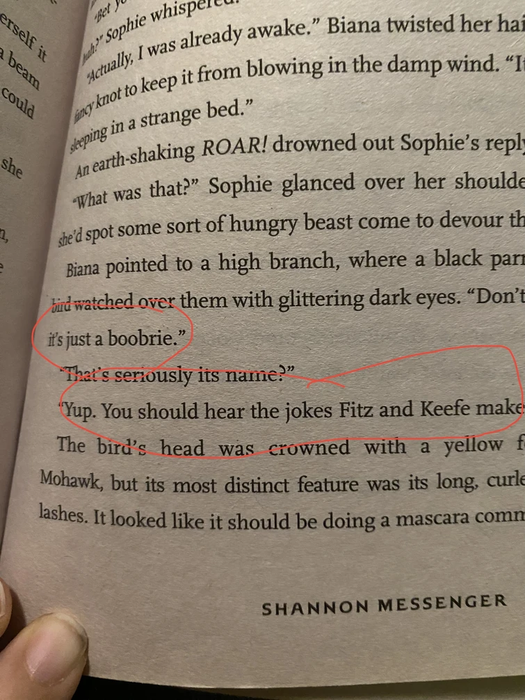 Neverseen was the most mature KOTLC book- | Fandom