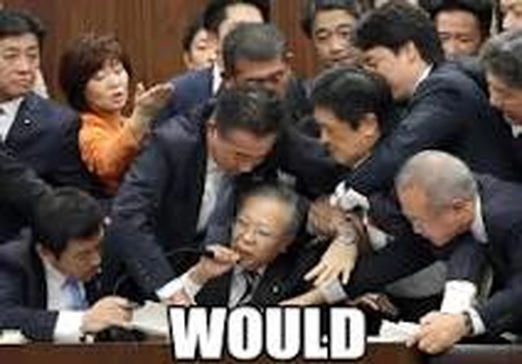 Raccoon + Red Fox | Fandom