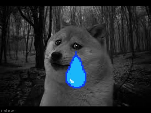 Sad doge | Fandom