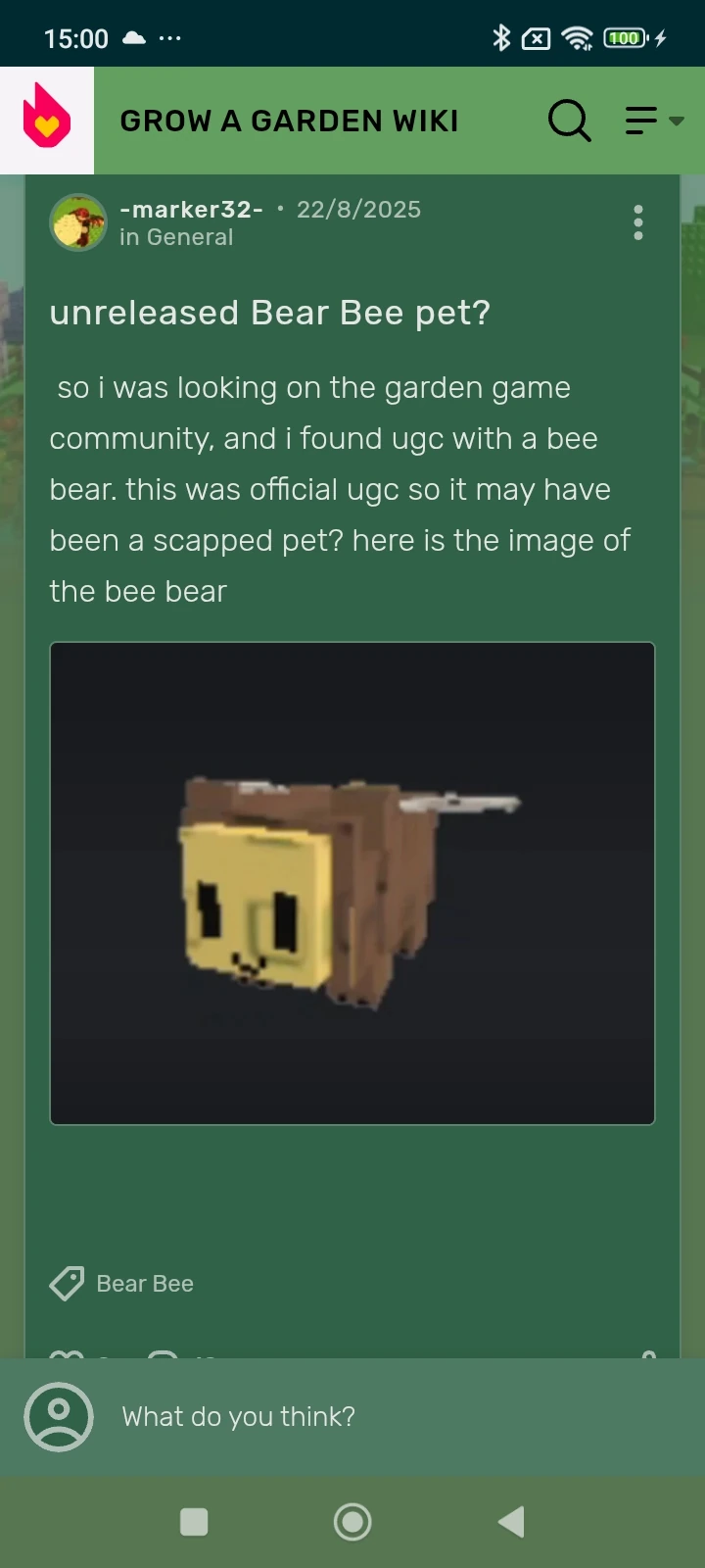 Bear Bee from temu💀 | Fandom