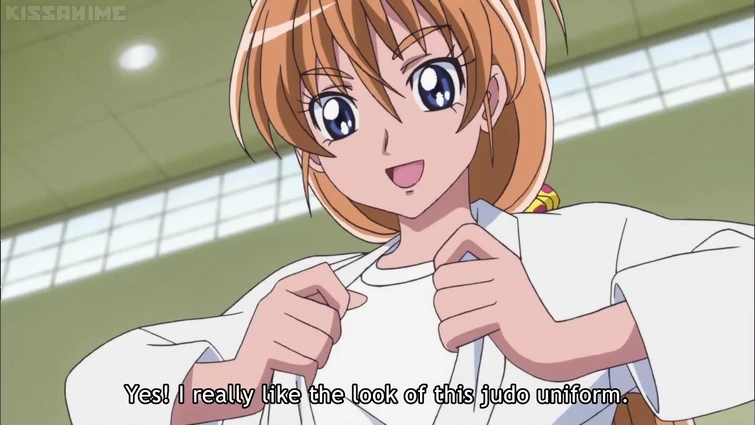 Casual Pretty Cure Discussion: Top 5 Pretty Cures Capable of Fighting ...