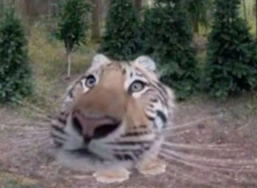 Giggity giggity goo | Fandom