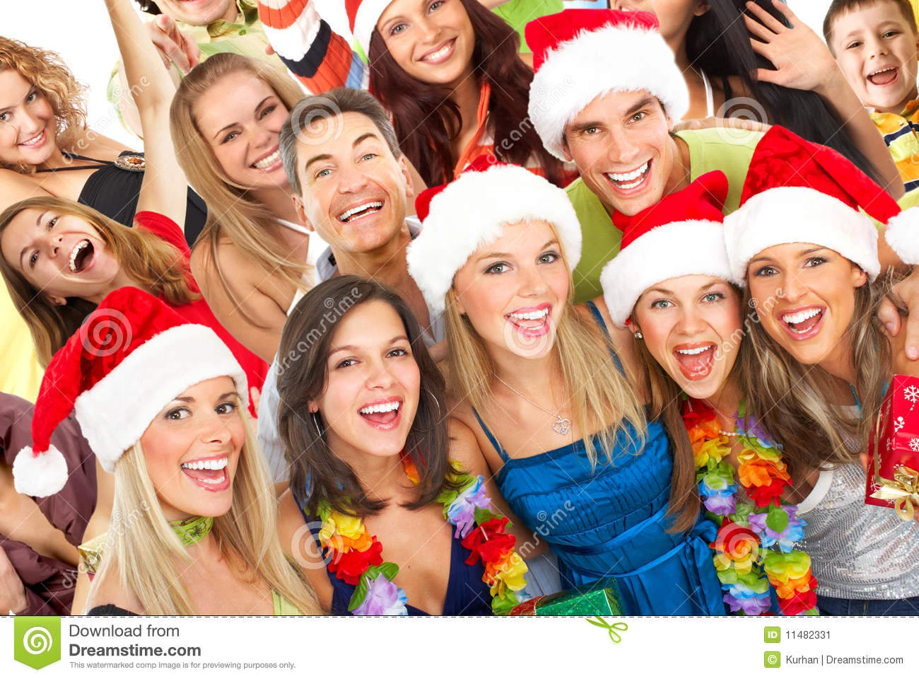 Project sekai wiki when it' 12AM after thanksgiving | Fandom