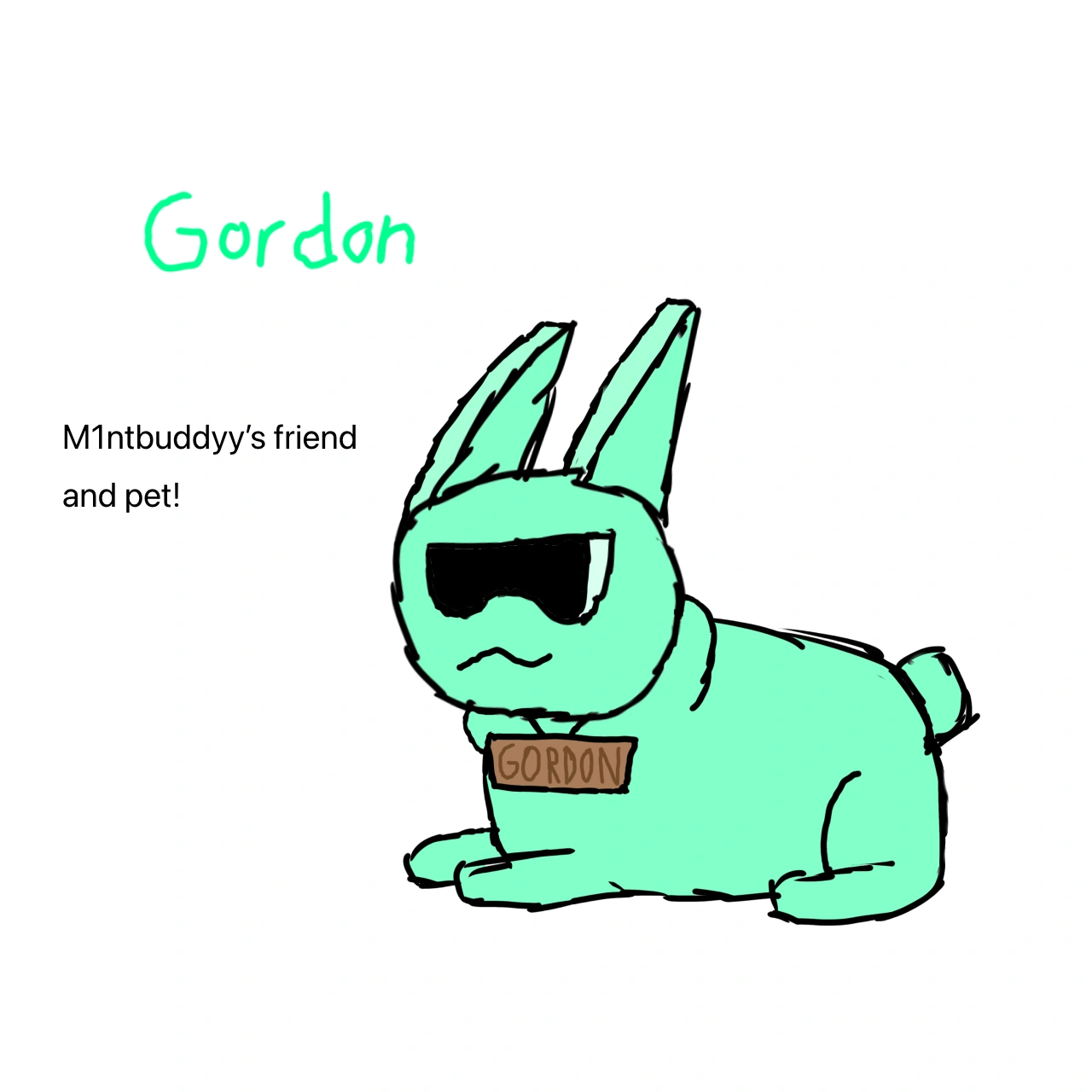 Gordon, M1ntBuddyy's pet! | Fandom