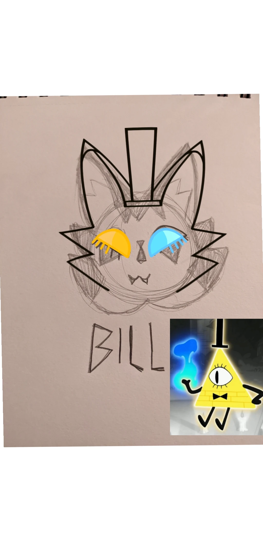Cat Bill! | Fandom