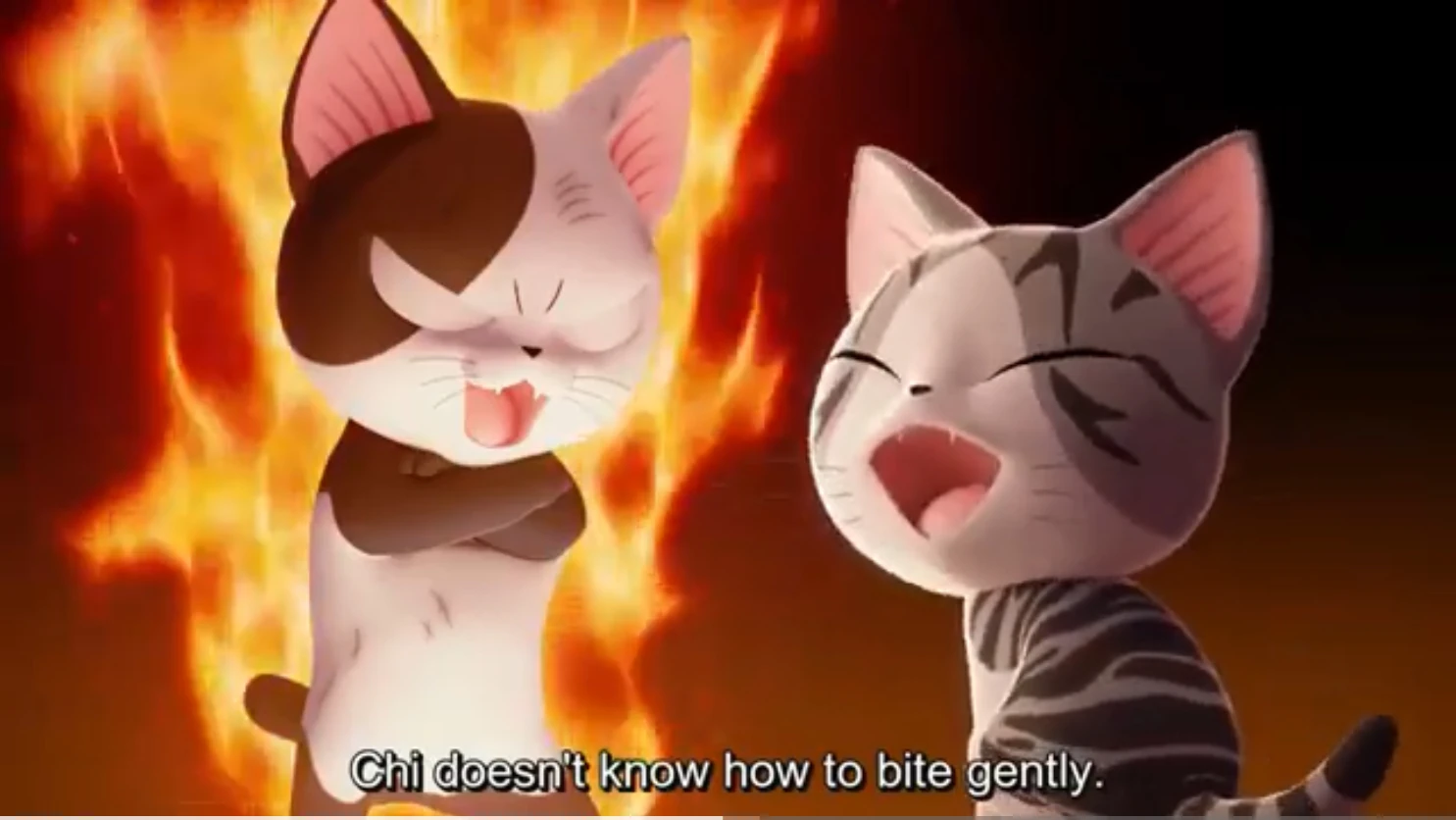 The most underrated fandom i know (Chi’s Sweet Home) | Fandom