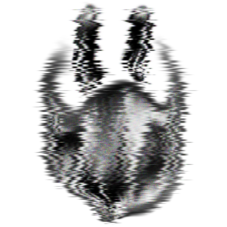 My fanmade entity is now finished. His name is Xddcc. | Fandom