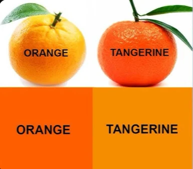 I LIKE CHEESE | Fandom