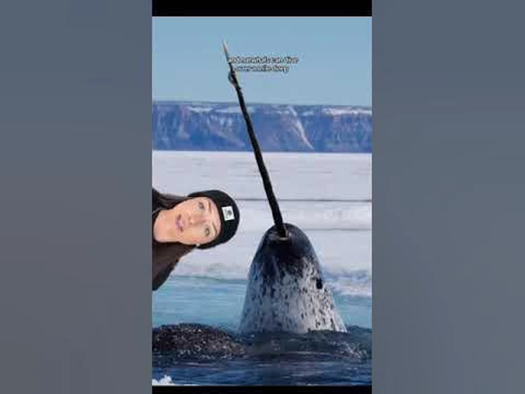 They're definitely real | Fandom