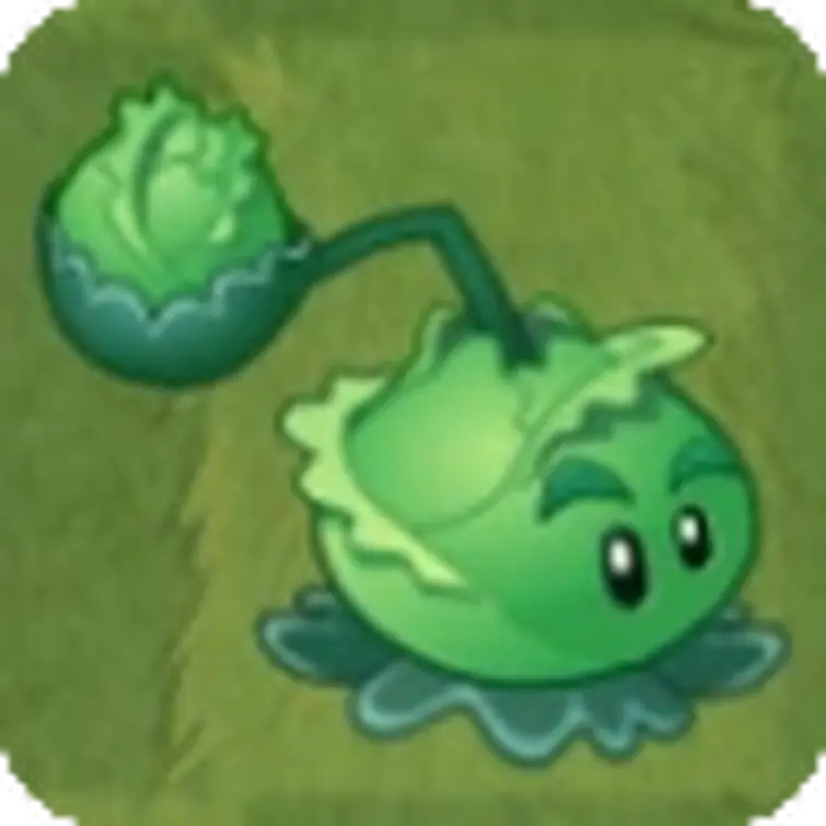 the snail skrunkle 🥰 | Fandom