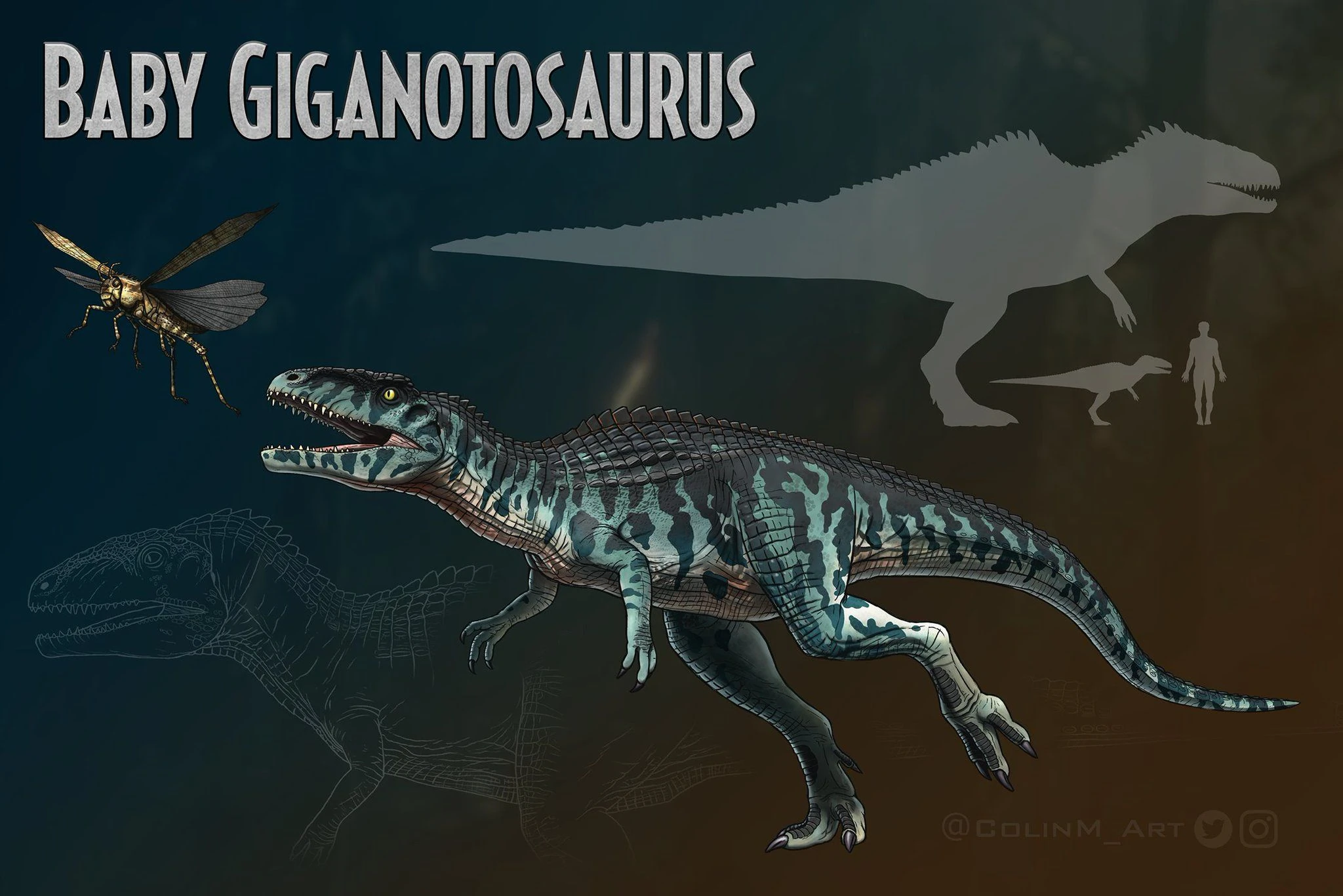 Zeb cuando era una cria | Fandom