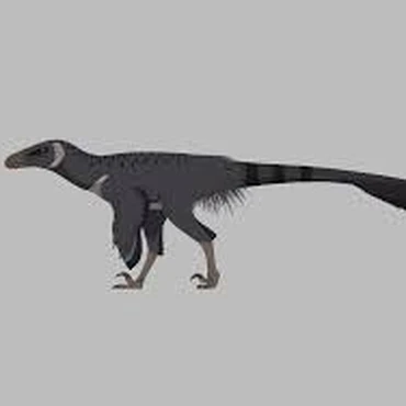 Discuss Everything About Dinopedia | Fandom