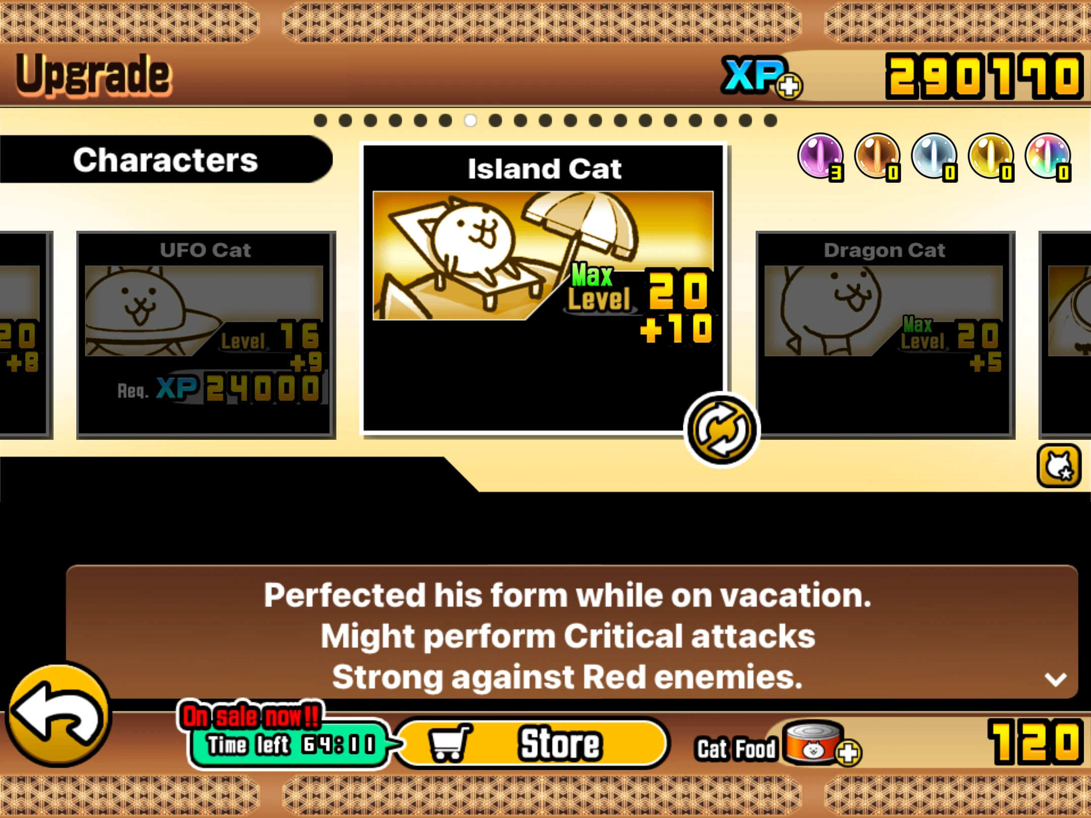 2 new normal cats | Fandom