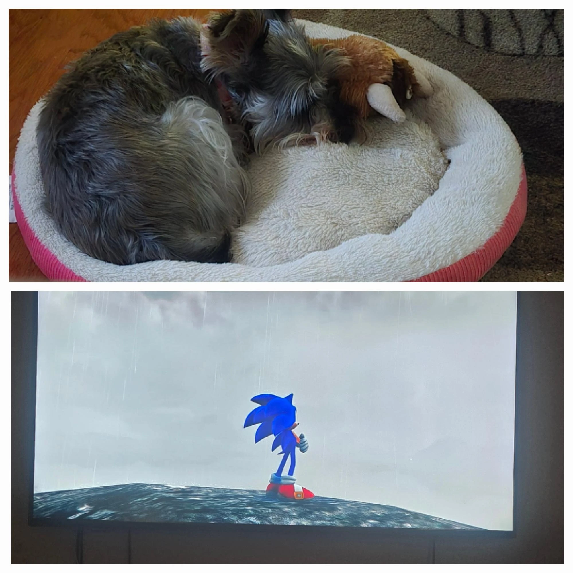 Sonic Frontiers has the most relaxing music, it relaxes another species ...