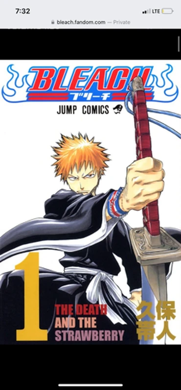 Best Bleach Volume Cover (Round 1) | Fandom