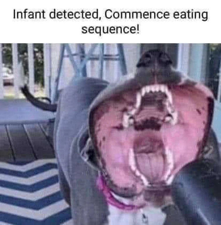 commence eating sequence | Fandom