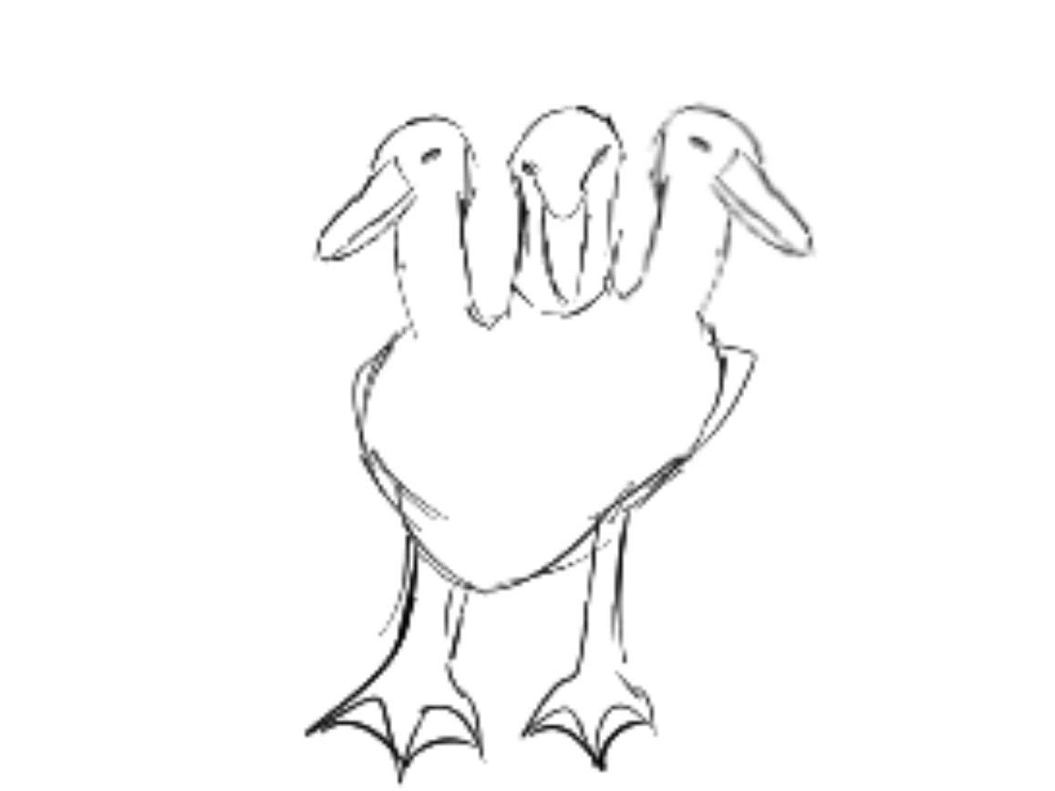 The three headed duck of wisdom | Fandom