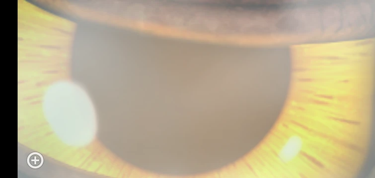 COLOSSALDYYDEYSEYSE | Fandom