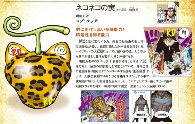 ¿Os gustan los diseños de las frutas del diablo? | Fandom