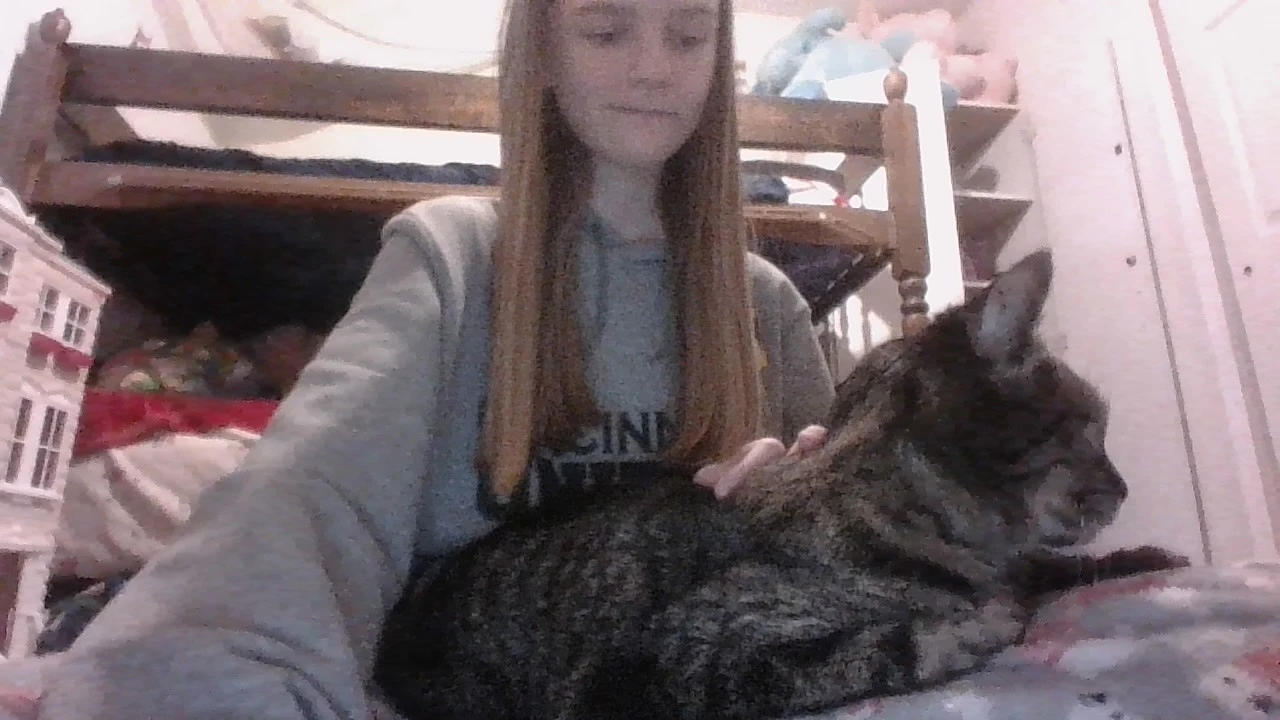 Cat go brrr | Fandom