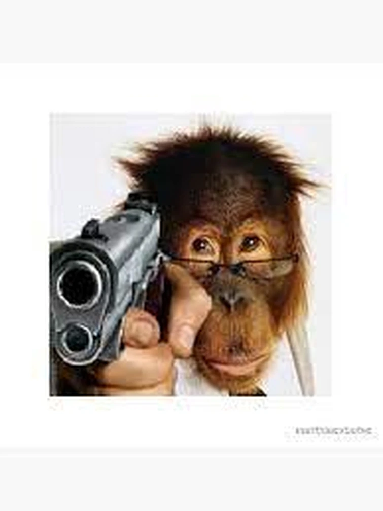 POV:MONKE IS POUNTING GUN AT YOU AND DEMAND YOUR MONEY | Fandom
