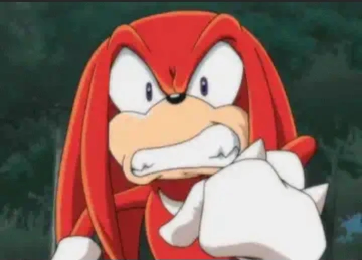 What Scared Knuckles? (Wrong Answers Only) | Fandom